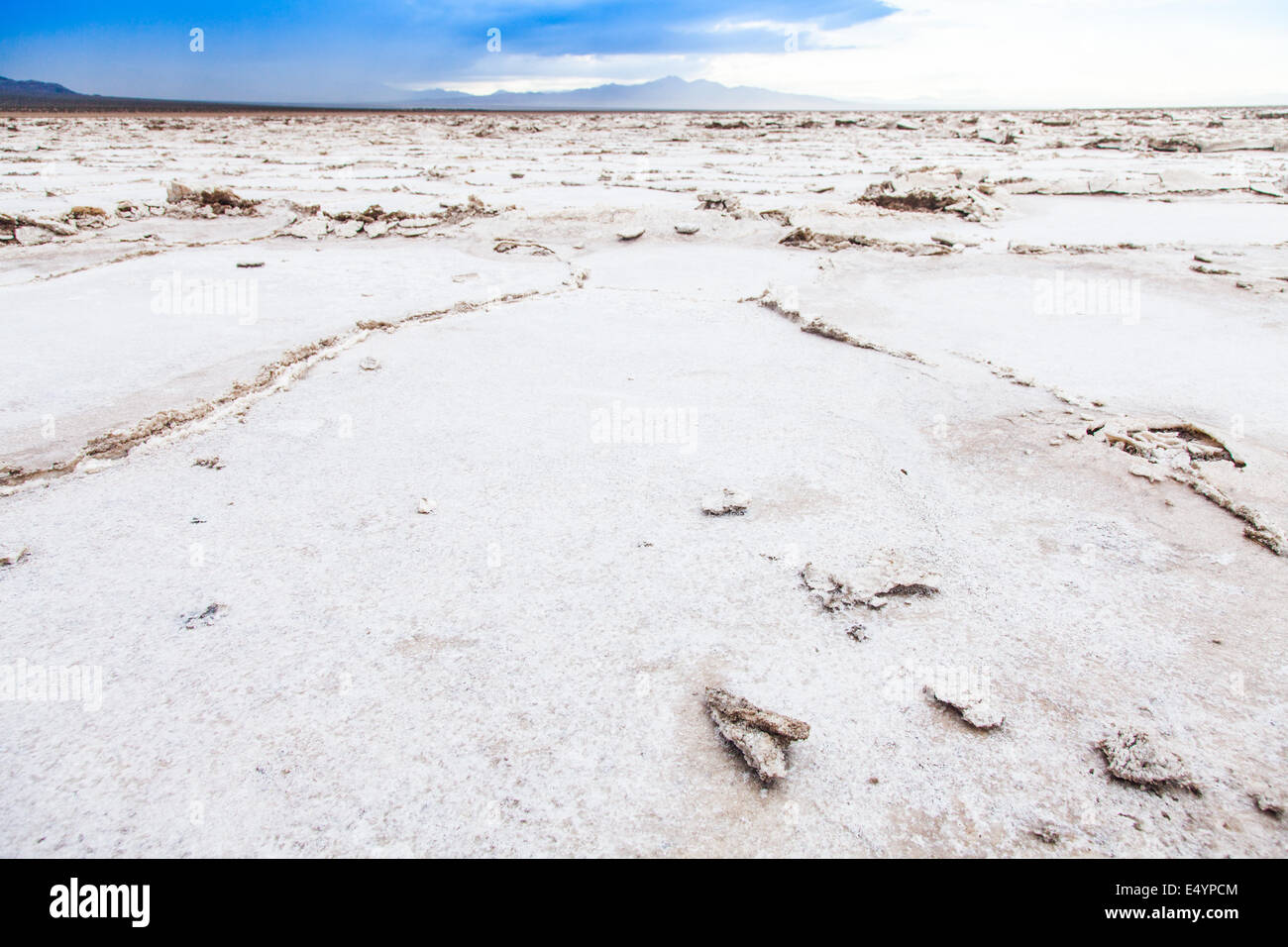 Damage field salt hi-res stock photography and images - Alamy