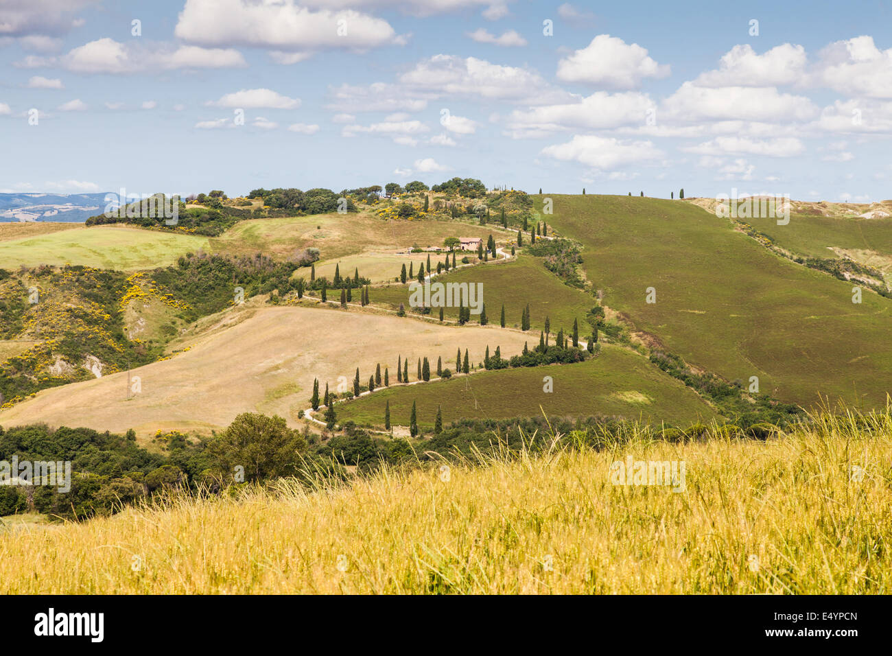Foce of nature hi-res stock photography and images - Alamy