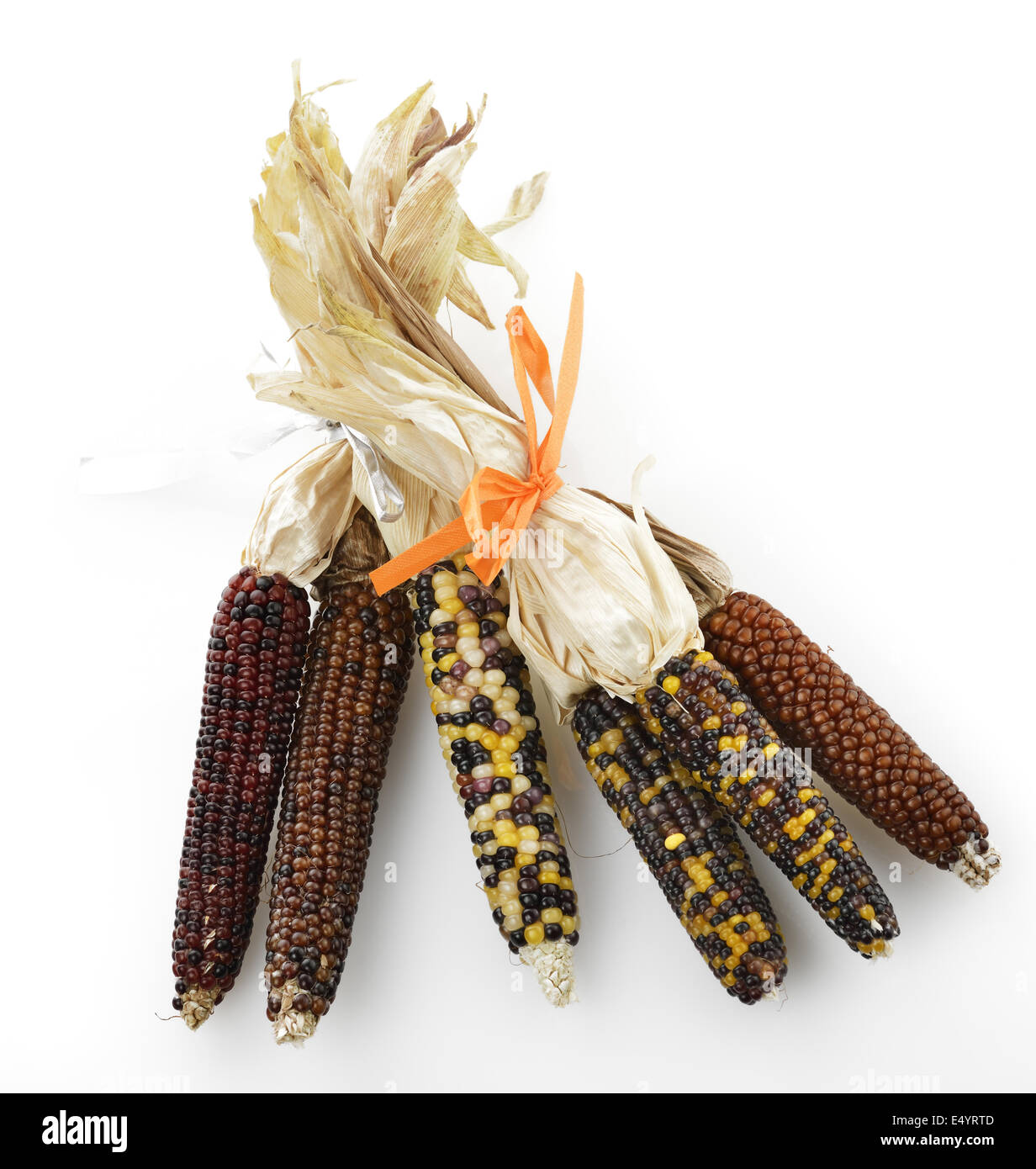 Dried indian fall corn hi-res stock photography and images - Alamy