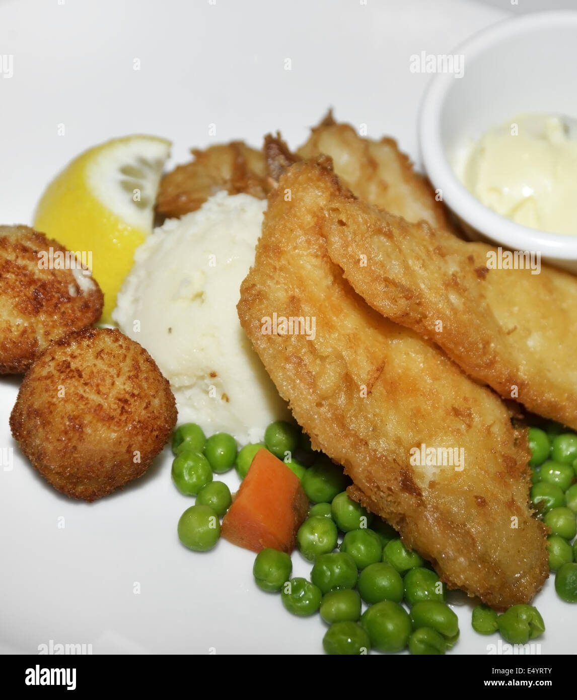 Scallops fish hi-res stock photography and images - Alamy