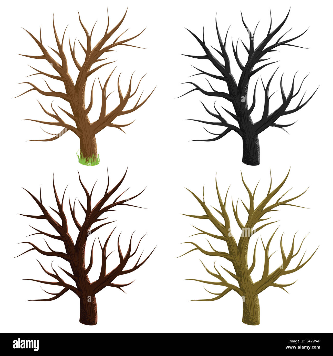 Stylized oak tree hi-res stock photography and images - Alamy