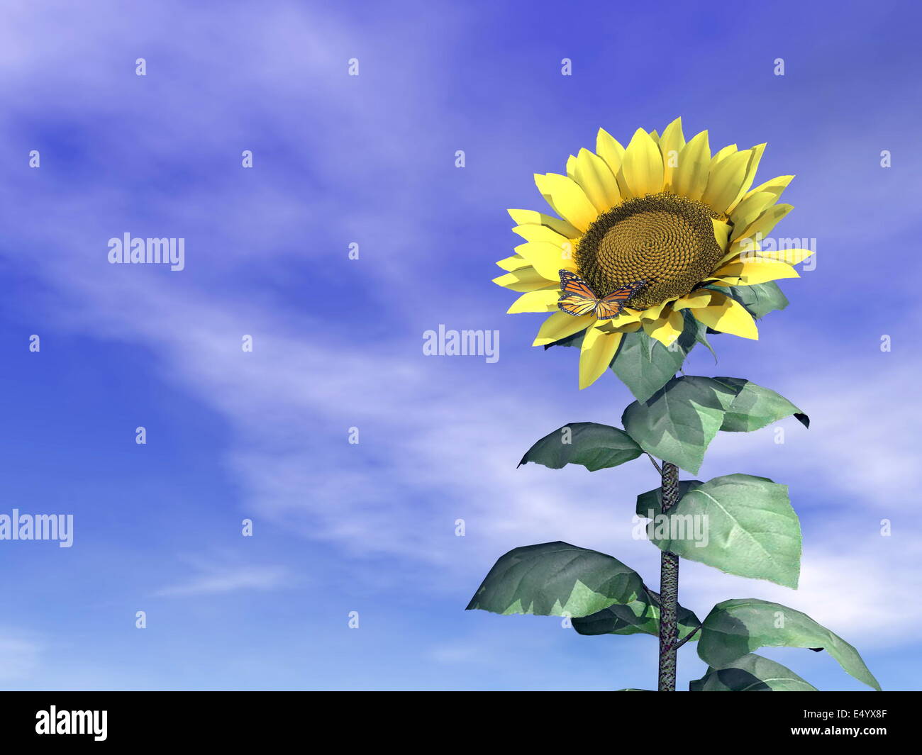 Sunflower and sky - 3D render Stock Photo - Alamy