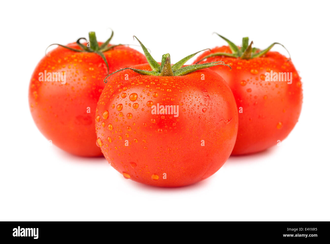Three ripe red tomatoes with water drops Stock Photo - Alamy