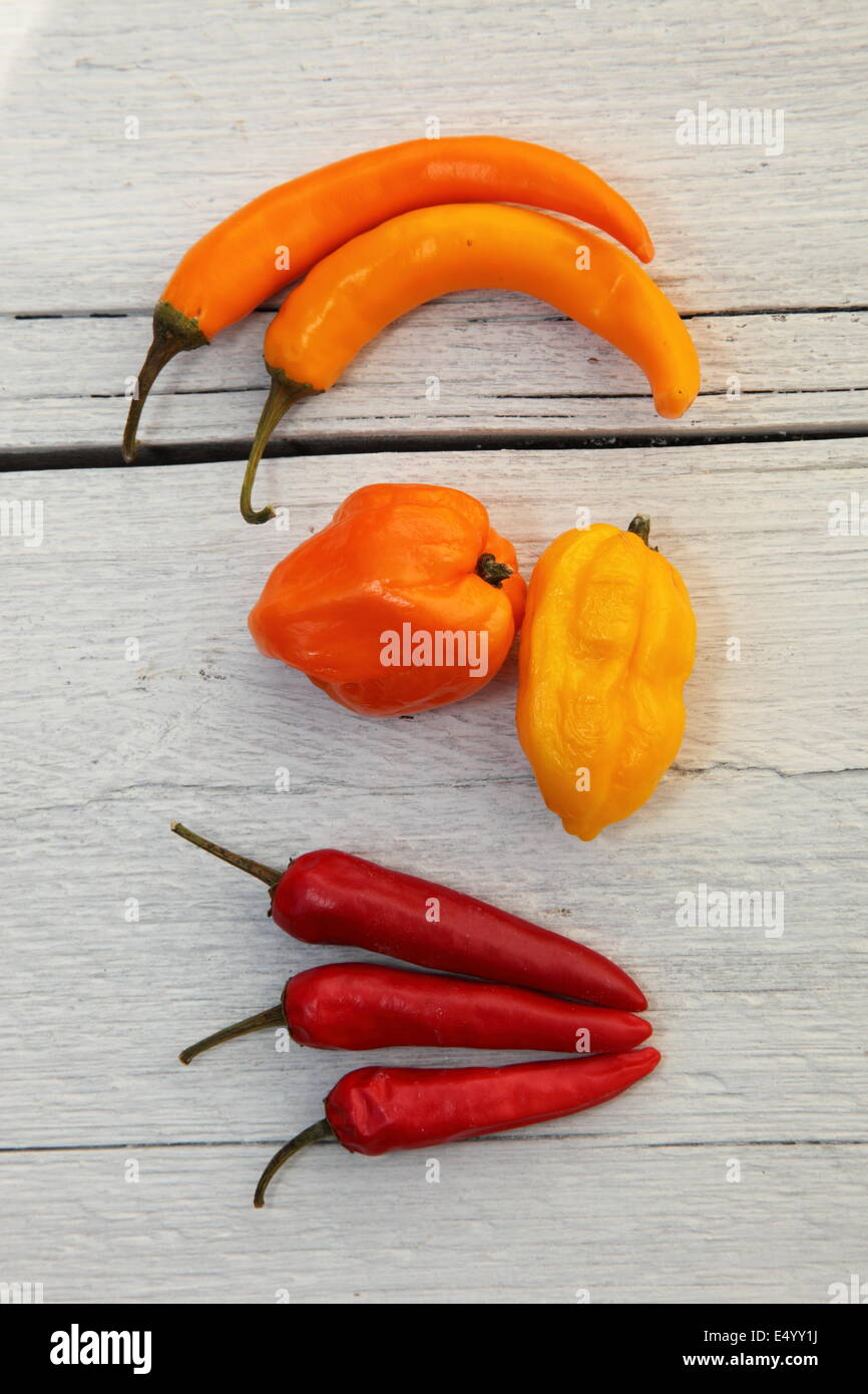 Chilli varieties hi-res stock photography and images - Alamy