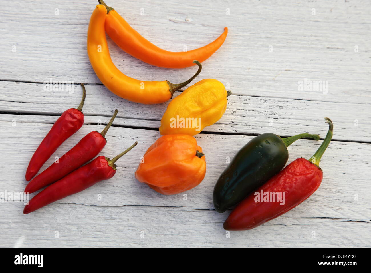 Colourful capsicum peppers Stock Photo - Alamy