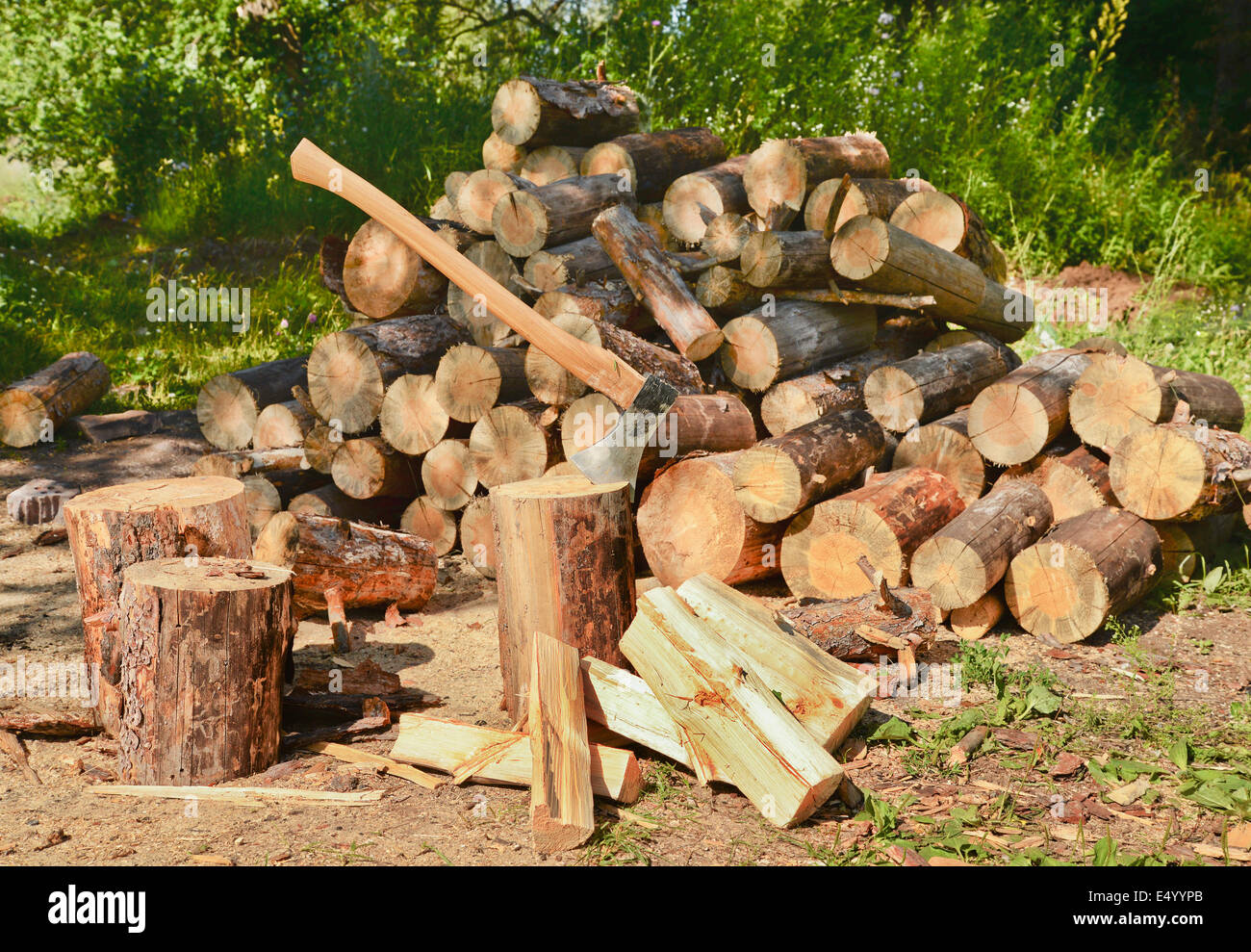 Cutting tree with axe hi-res stock photography and images - Alamy