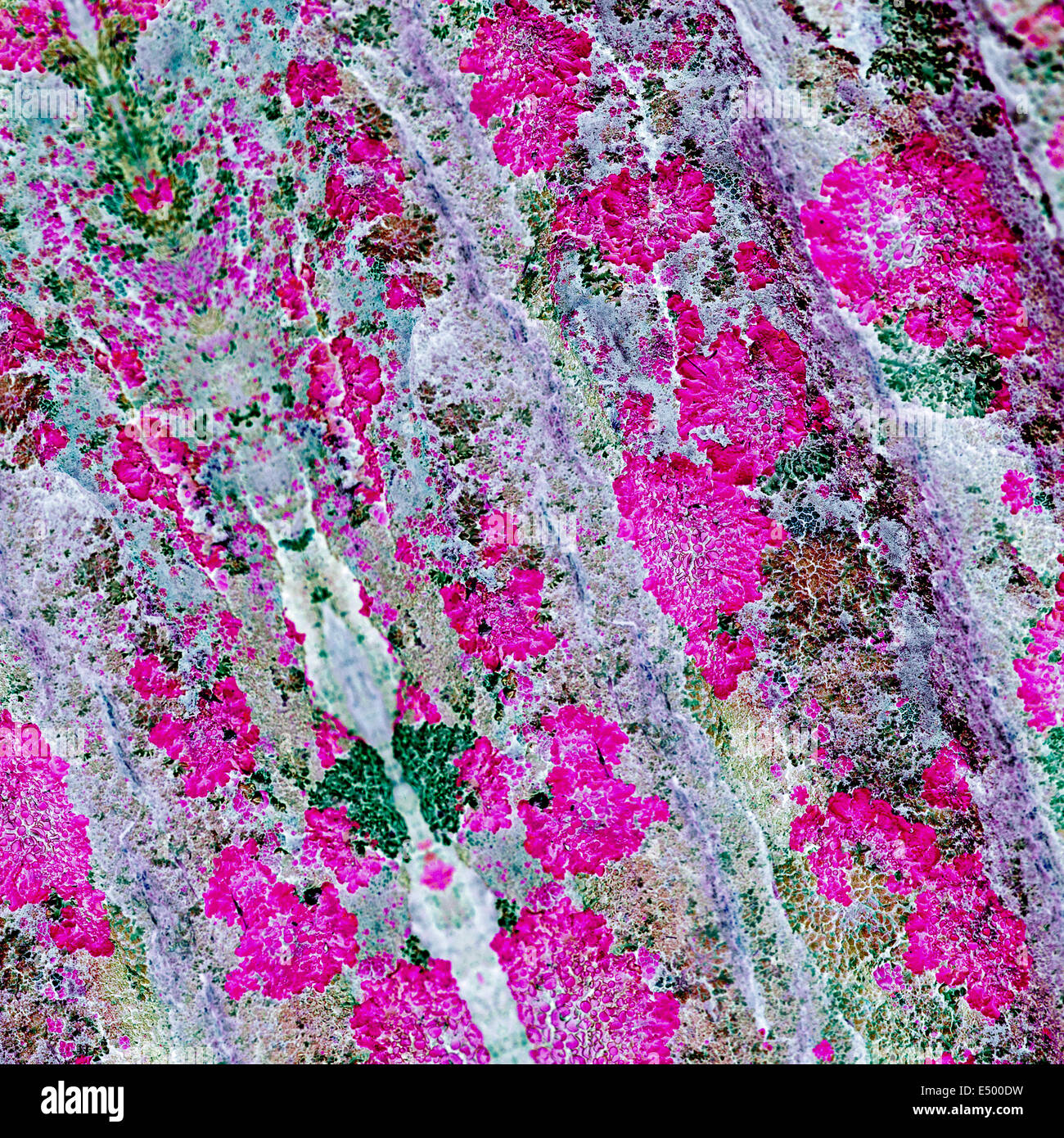 Abstract body form hi-res stock photography and images - Alamy