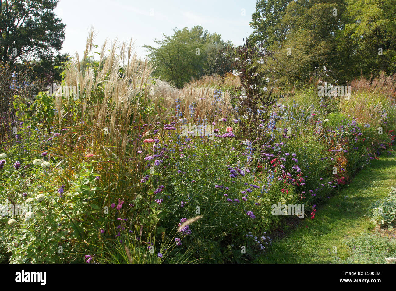 Mixed grasses border hi-res stock photography and images - Alamy