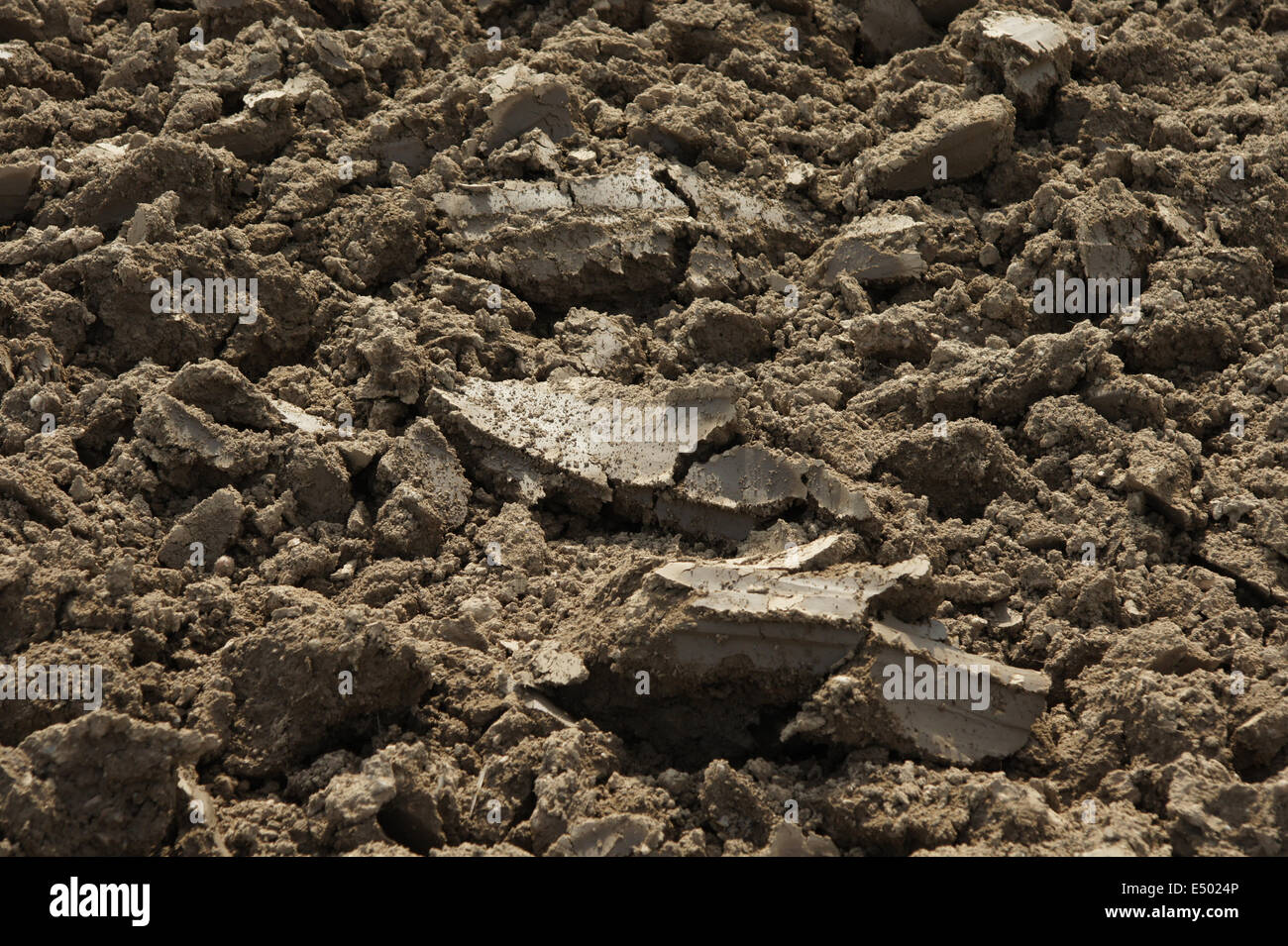 Loamy Soil Stock Photo: 71916454 - Alamy