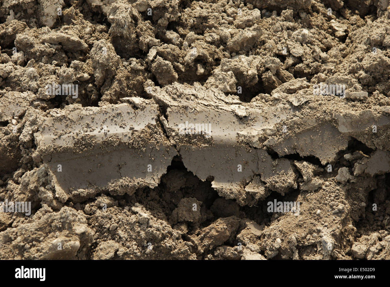 Loamy soil hi-res stock photography and images - Alamy
