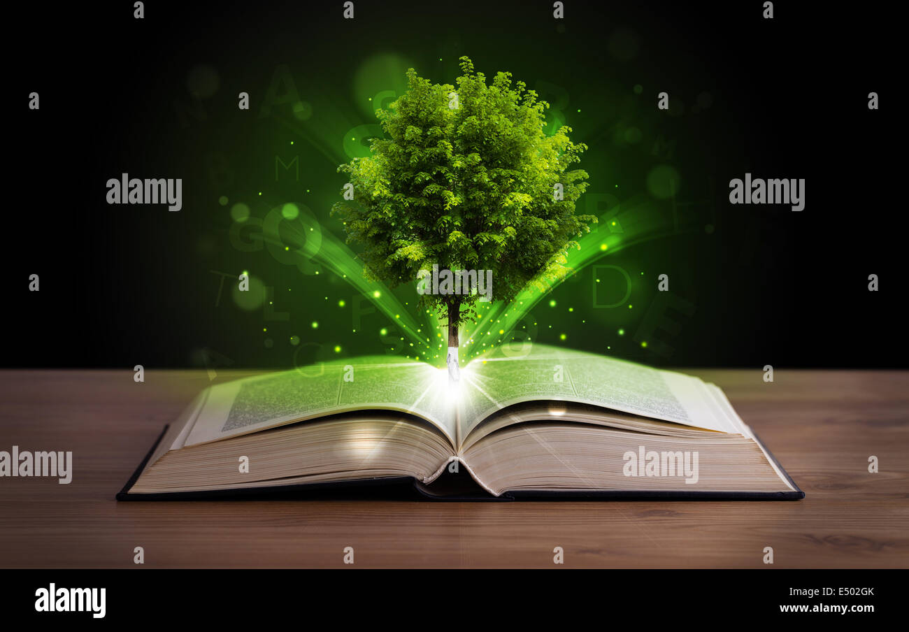 Open book with magical green tree and rays of light Stock Photo - Alamy