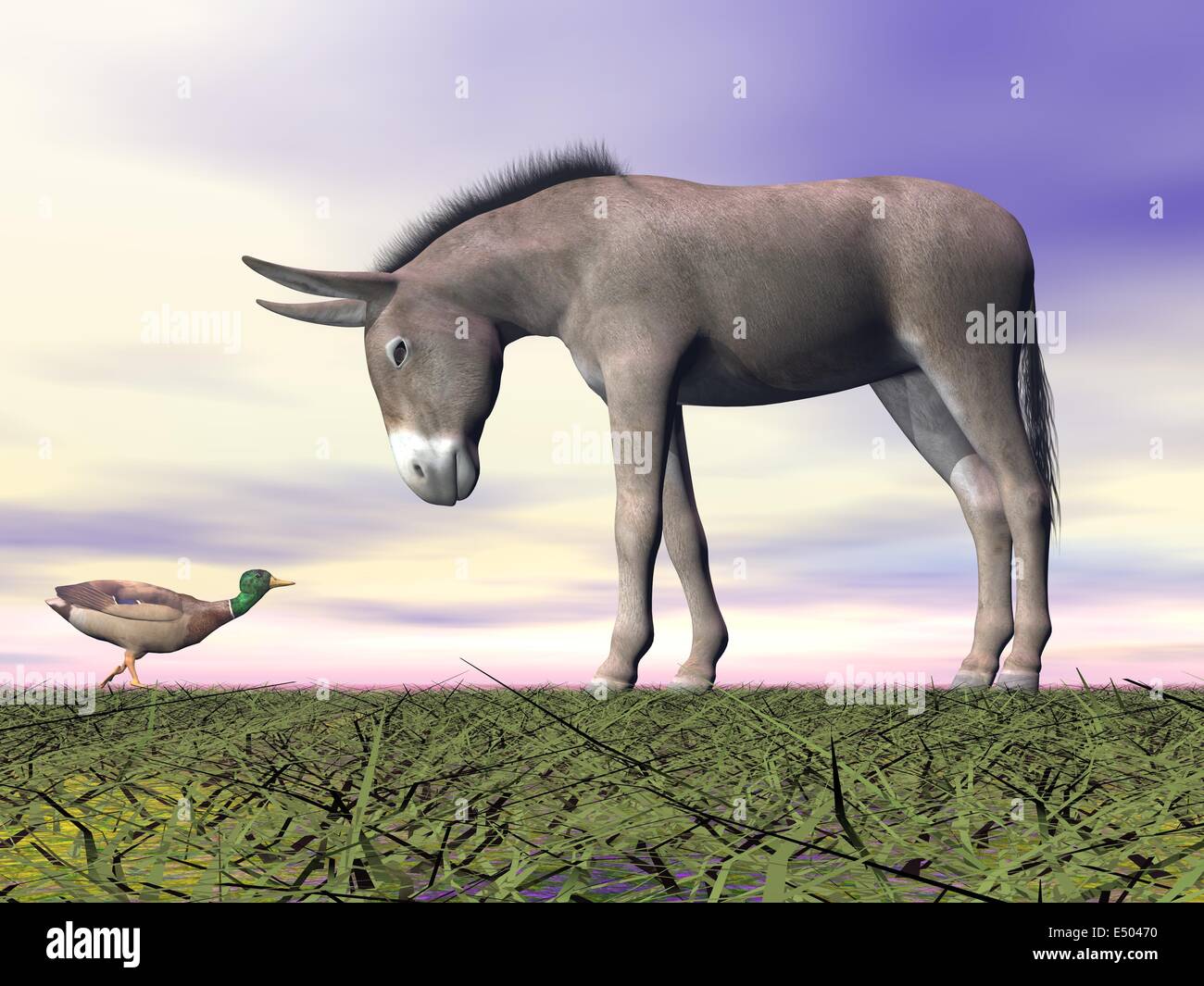Duck and donkey talk - 3D render Stock Photo - Alamy