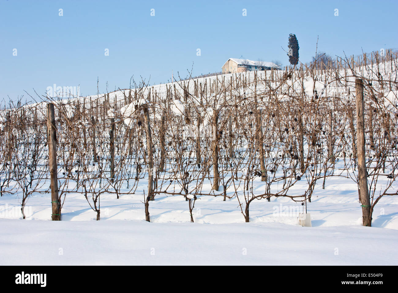 Tuscany in winter hi-res stock photography and images - Alamy