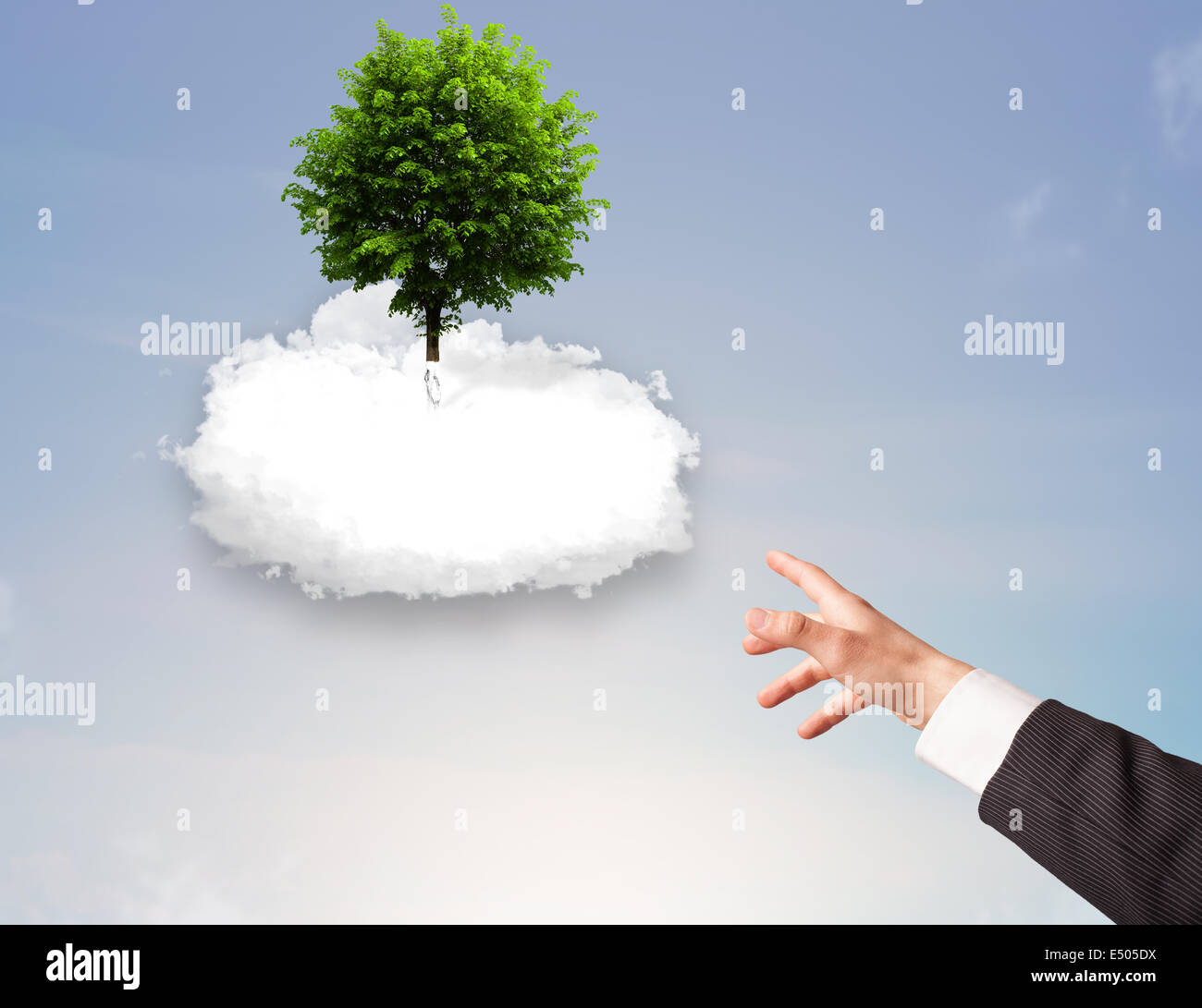 Hand pointing at a green tree on top of a white cloud Stock Photo - Alamy