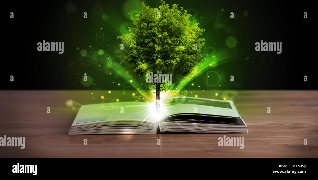 Open book with magical green tree and rays of light Stock Photo - Alamy
