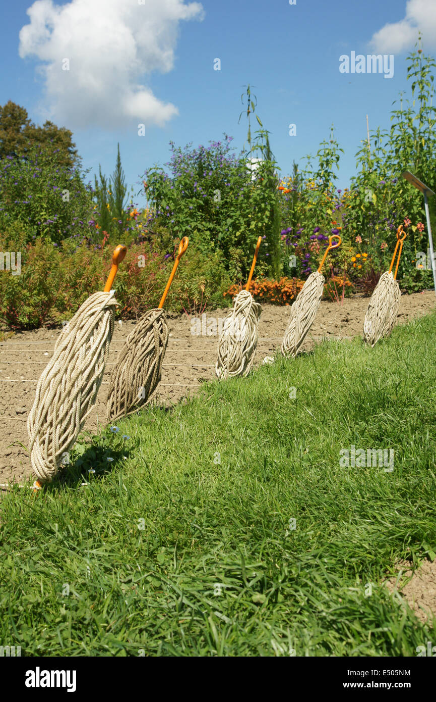 Pflanzleine hi-res stock photography and images - Alamy