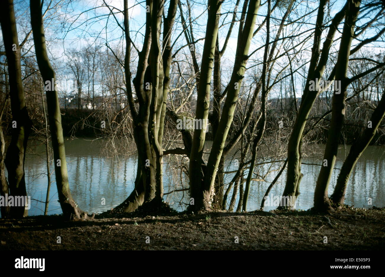 AJAXNETPHOTO -1999 - CHATOU, FRANCE - THE BANKS OF THE RIVER SEINE ...