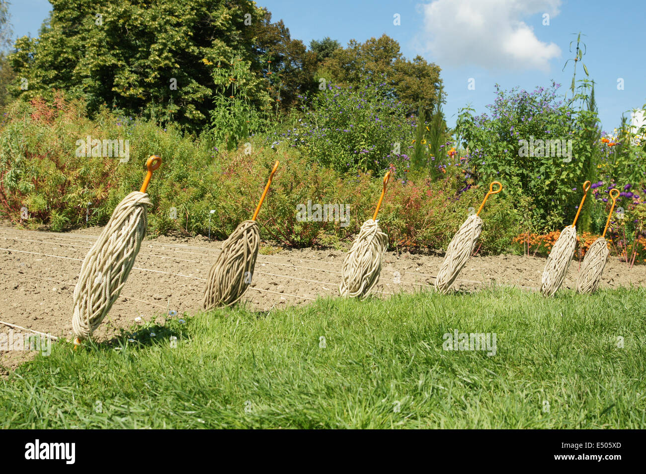 Pflanzhilfe hi-res stock photography and images - Alamy