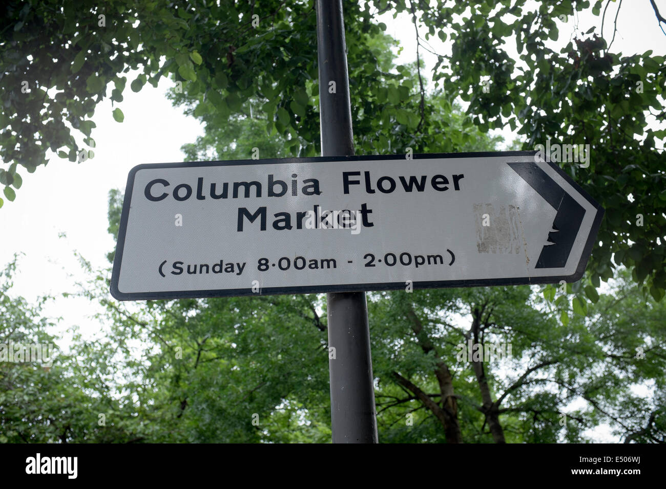 Road sign flowers hi-res stock photography and images - Alamy