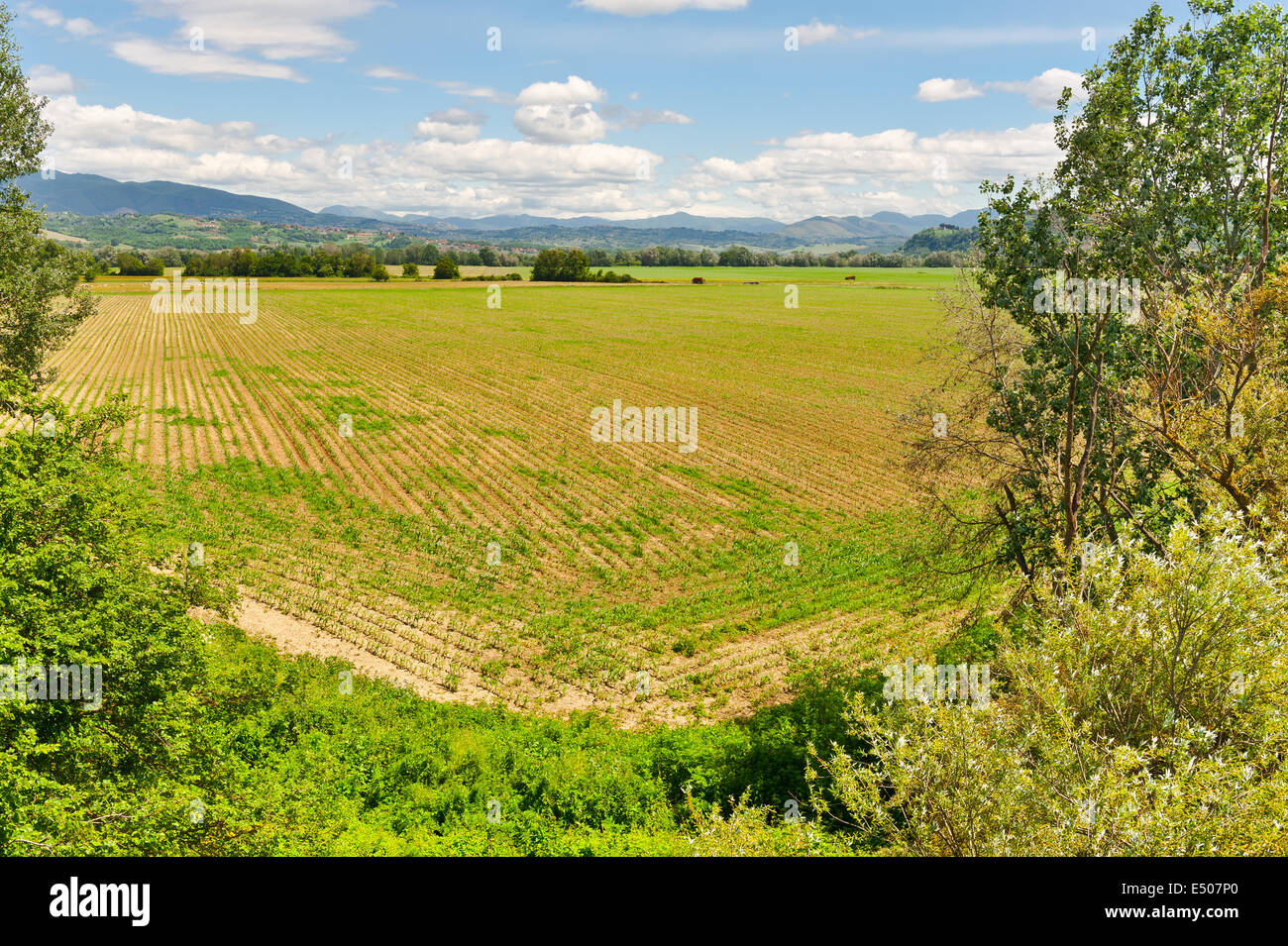 Pasture farming medieval hi-res stock photography and images - Alamy