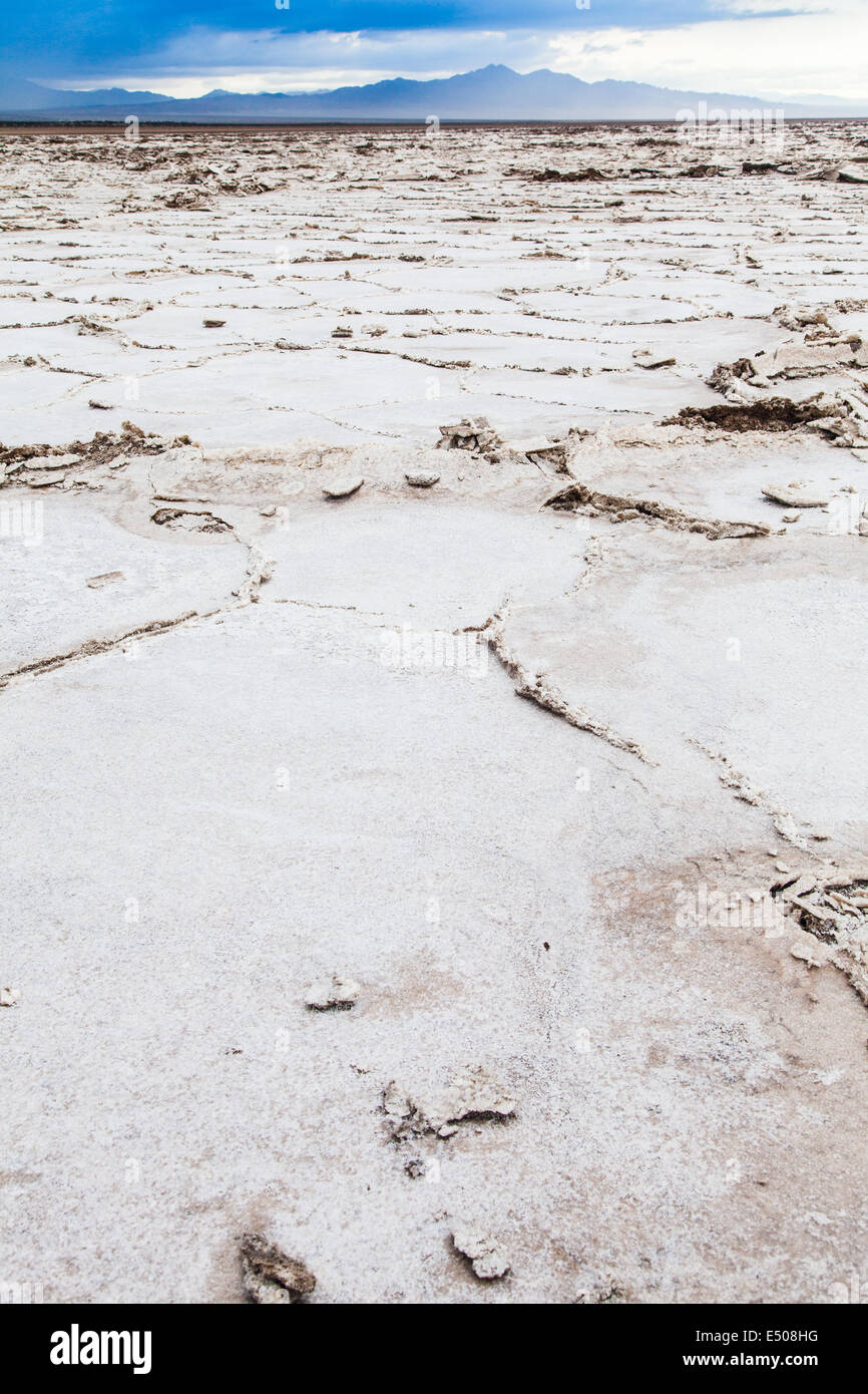 Salt soil damage hi-res stock photography and images - Alamy