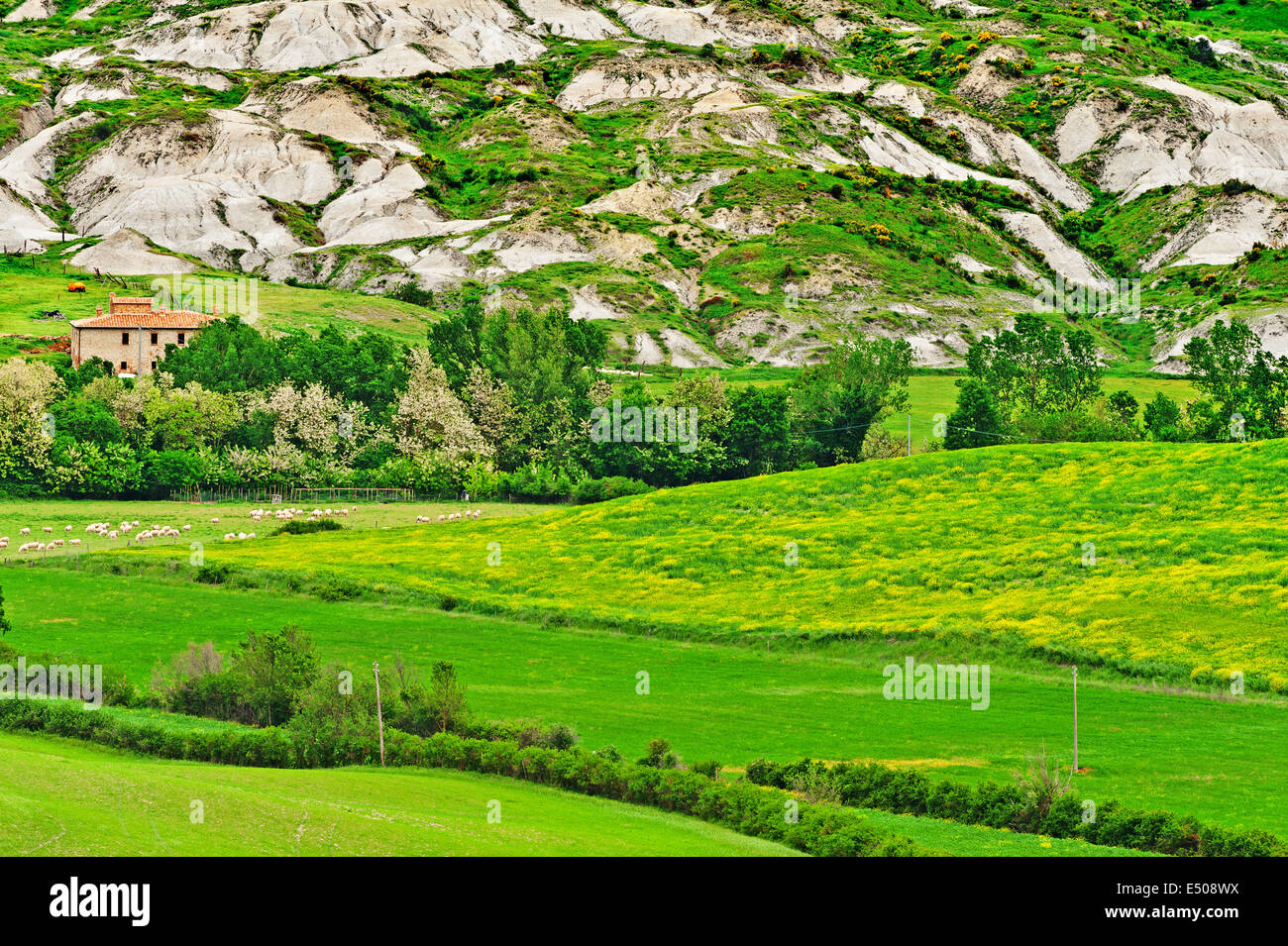 Canyon meadows hi-res stock photography and images - Alamy