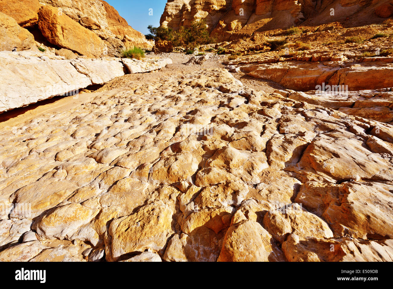 Rocky terrain ground terrain hi-res stock photography and images - Alamy