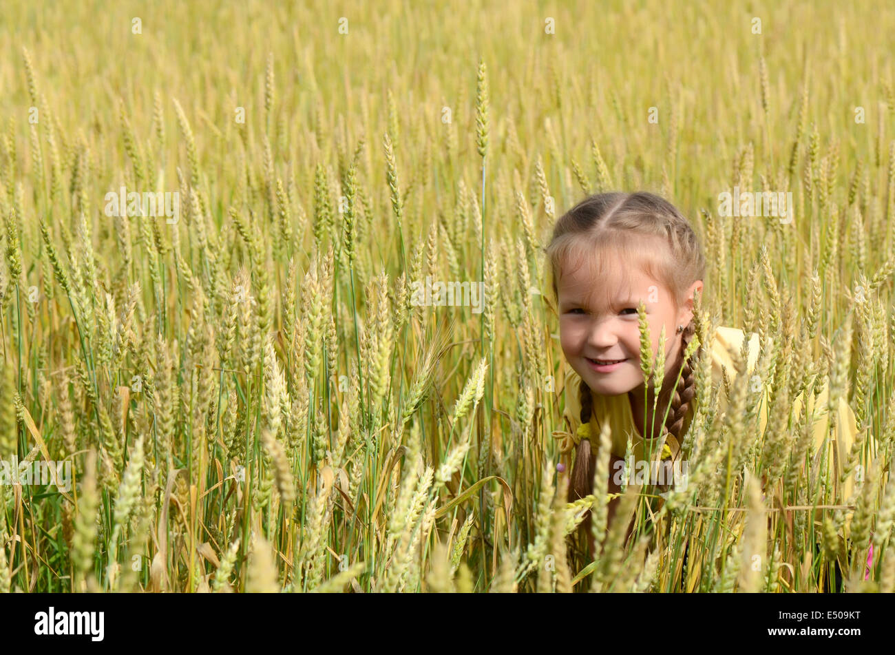 Children in wheat field hi-res stock photography and images - Alamy