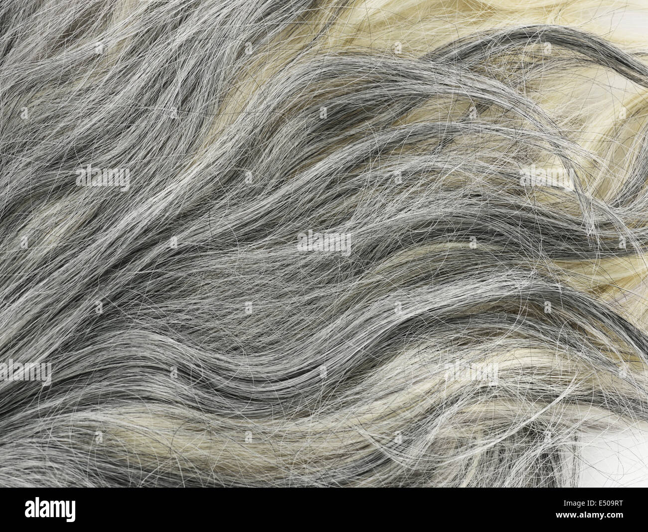 Grey hair texture hi-res stock photography and images - Alamy