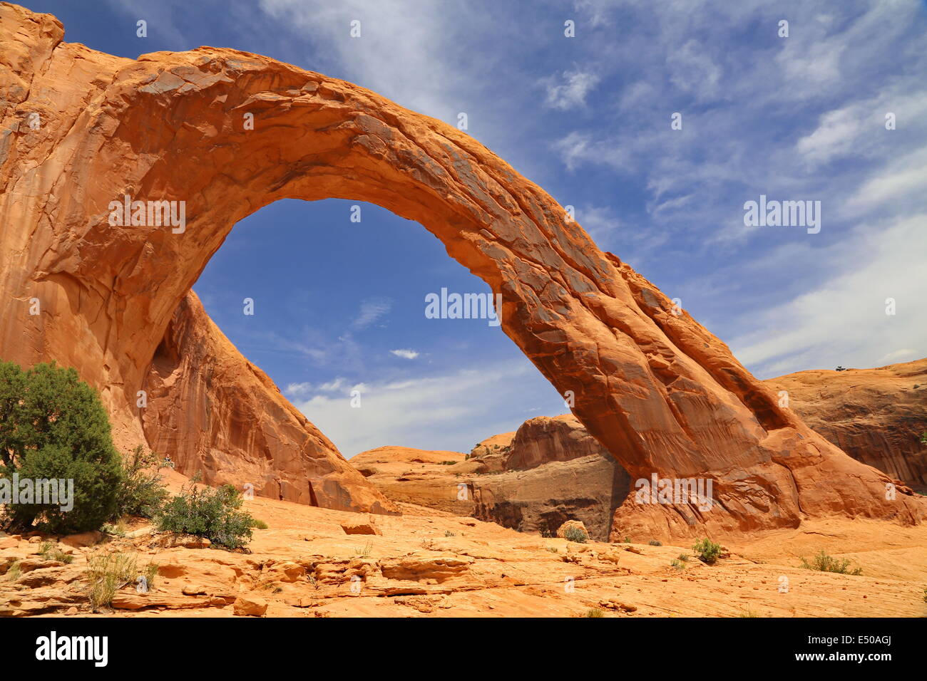 Corona arch hi-res stock photography and images - Alamy