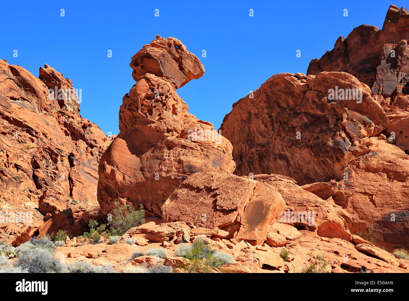 Dino saurier hi-res stock photography and images - Alamy