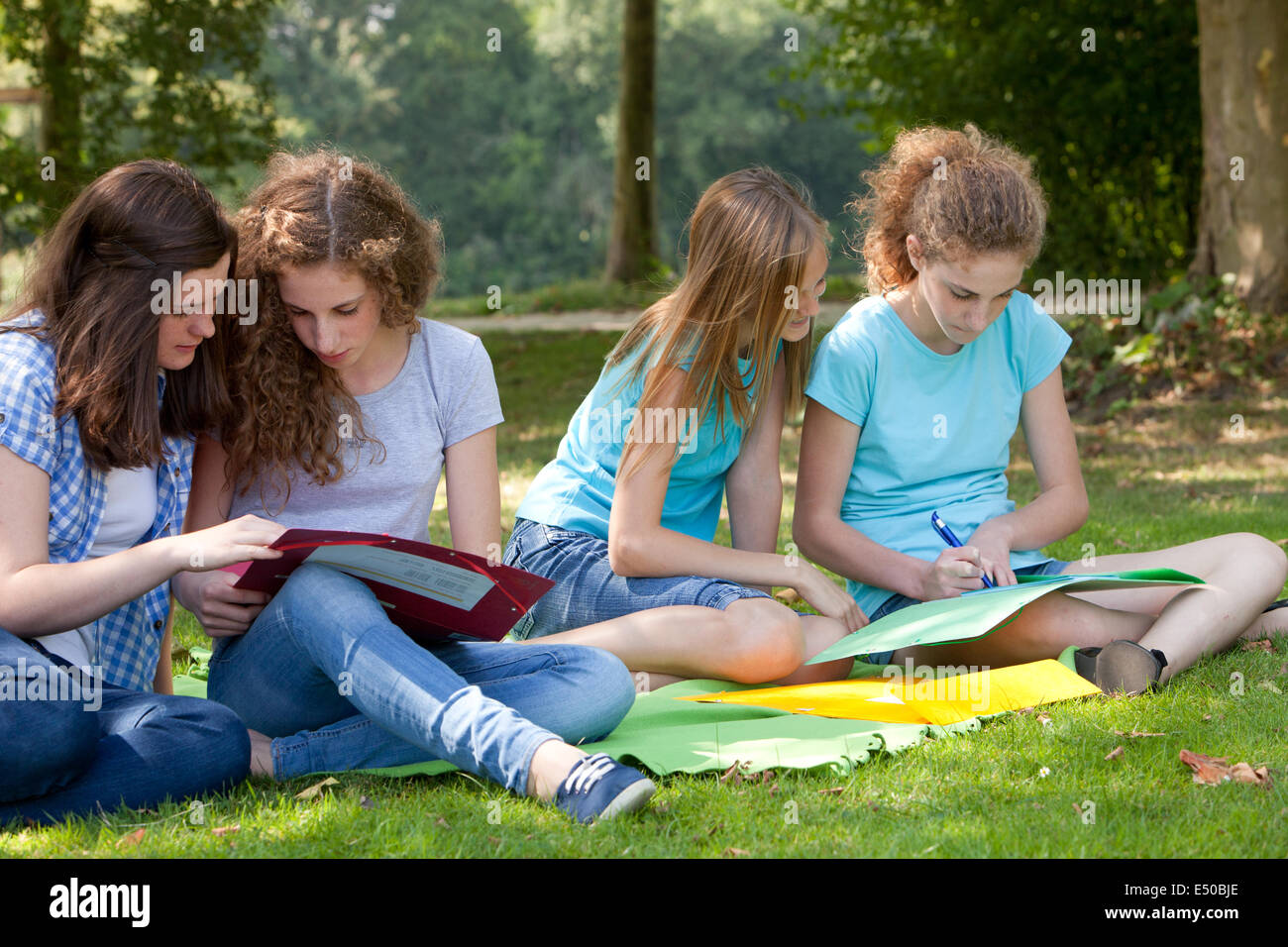 Teenage girls studying together in the park Stock Photo - Alamy