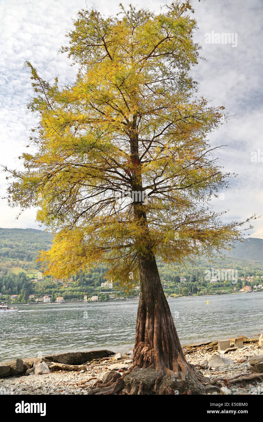 Insel bella hi-res stock photography and images - Alamy