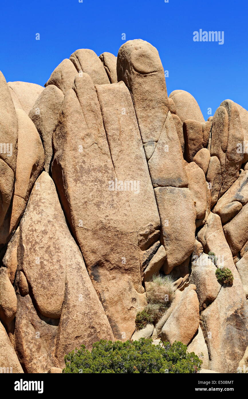 Joshua gross hi-res stock photography and images - Alamy