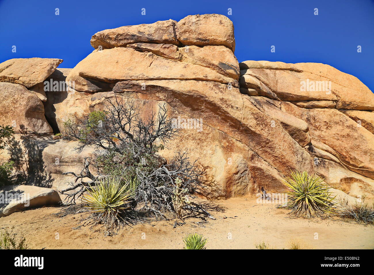 Jumbo felsen hi-res stock photography and images - Alamy