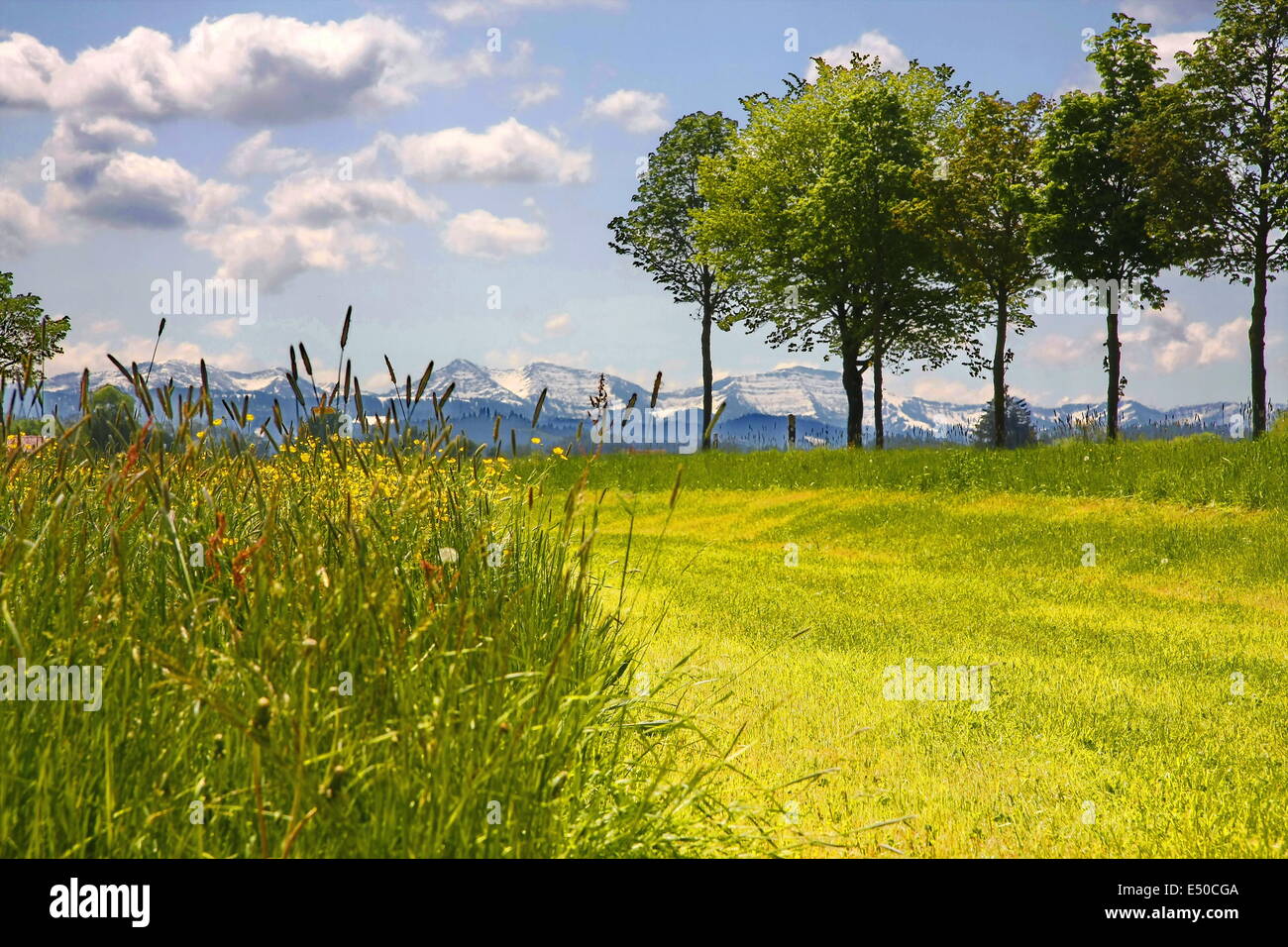 Alpenpanorama hi-res stock photography and images - Alamy