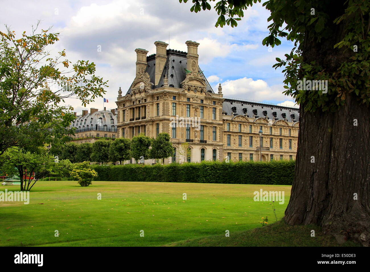 Metropolis tree tourism paris hi-res stock photography and images - Alamy