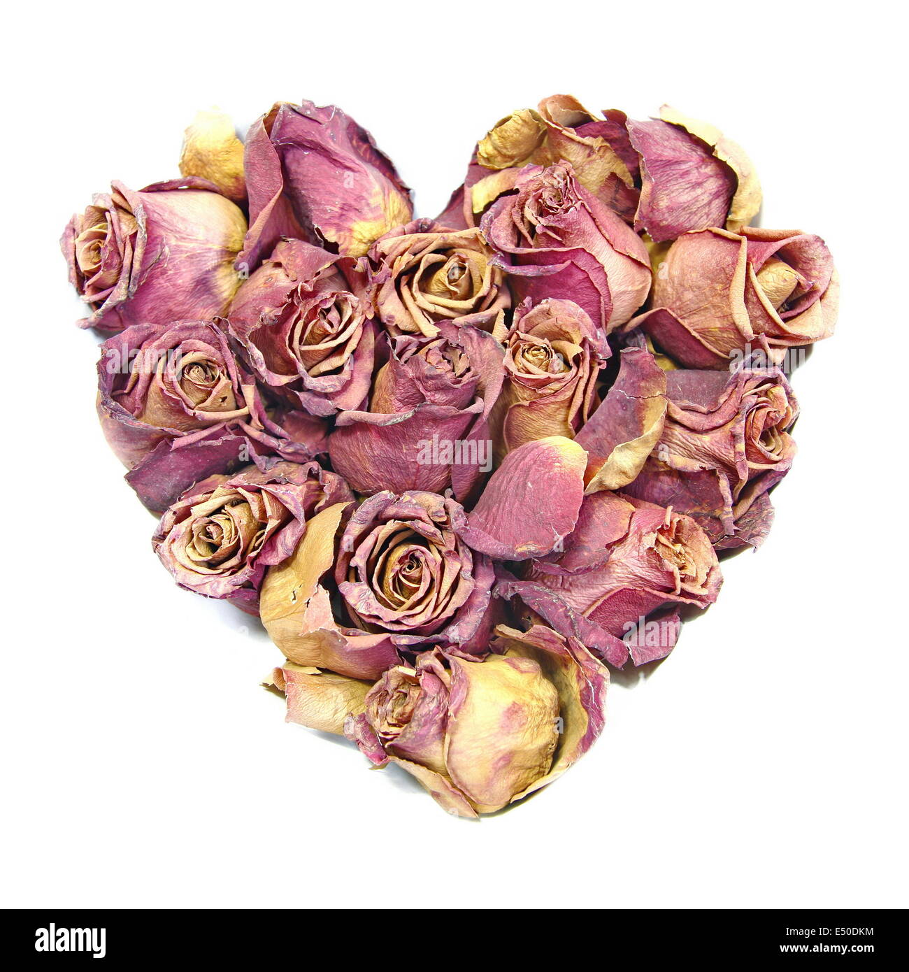 Rosenherz hi-res stock photography and images - Alamy