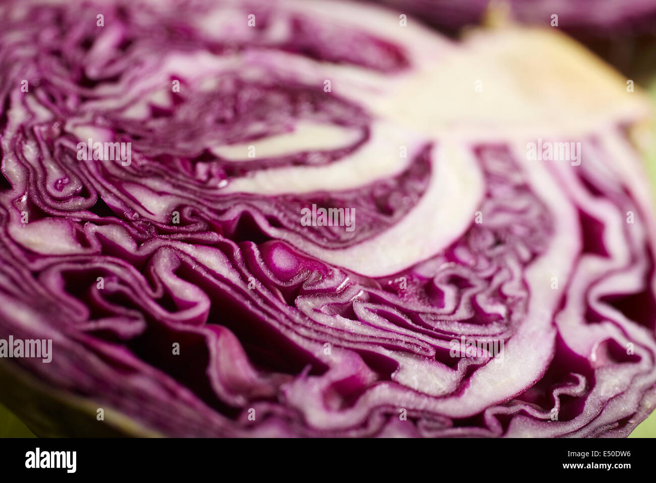 Half red cabbage in hi-res stock photography and images - Alamy