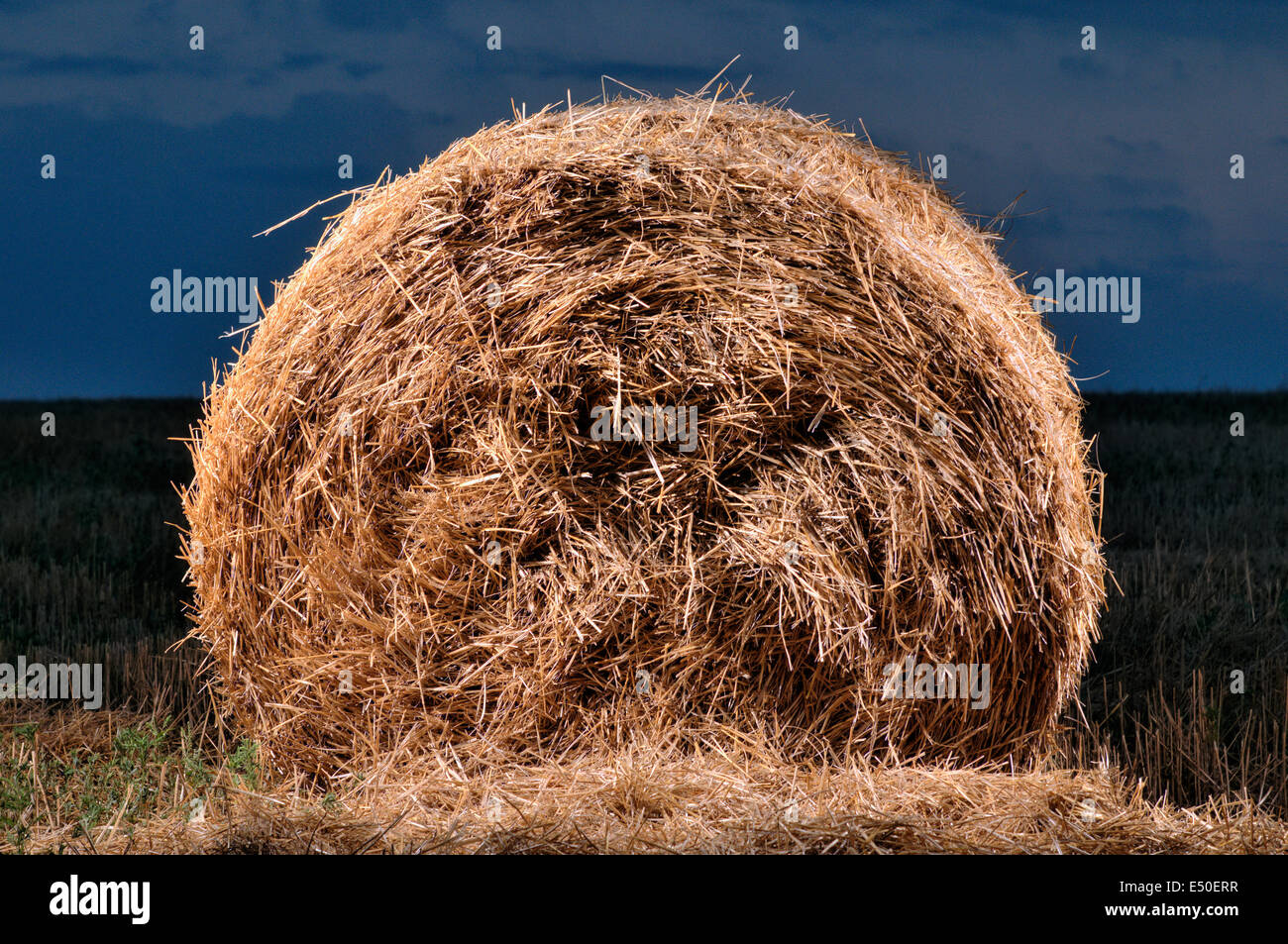 Haulm agriculture hi-res stock photography and images - Alamy