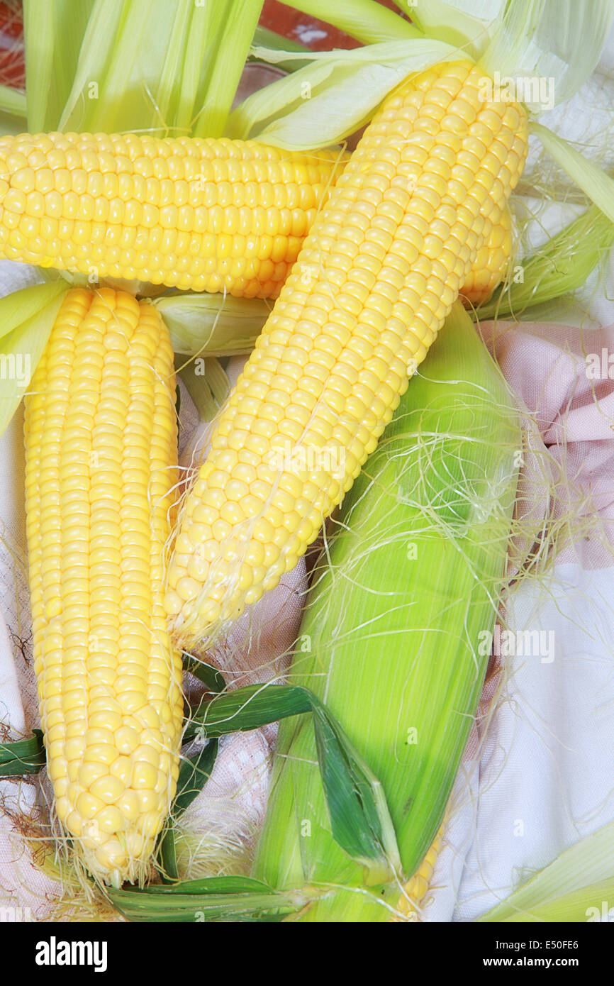 Ear Of Indian Corn Stock Photos & Ear Of Indian Corn Stock Images - Alamy