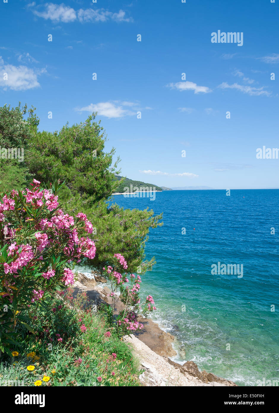 Mittelmeer europa dalmatien adria hi-res stock photography and images ...
