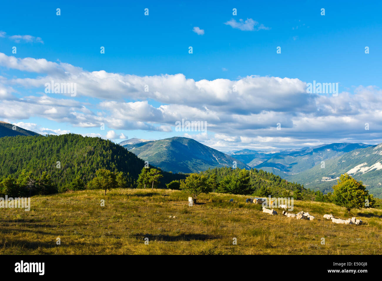 Country countryside rural pastoral pasture hi-res stock photography and ...