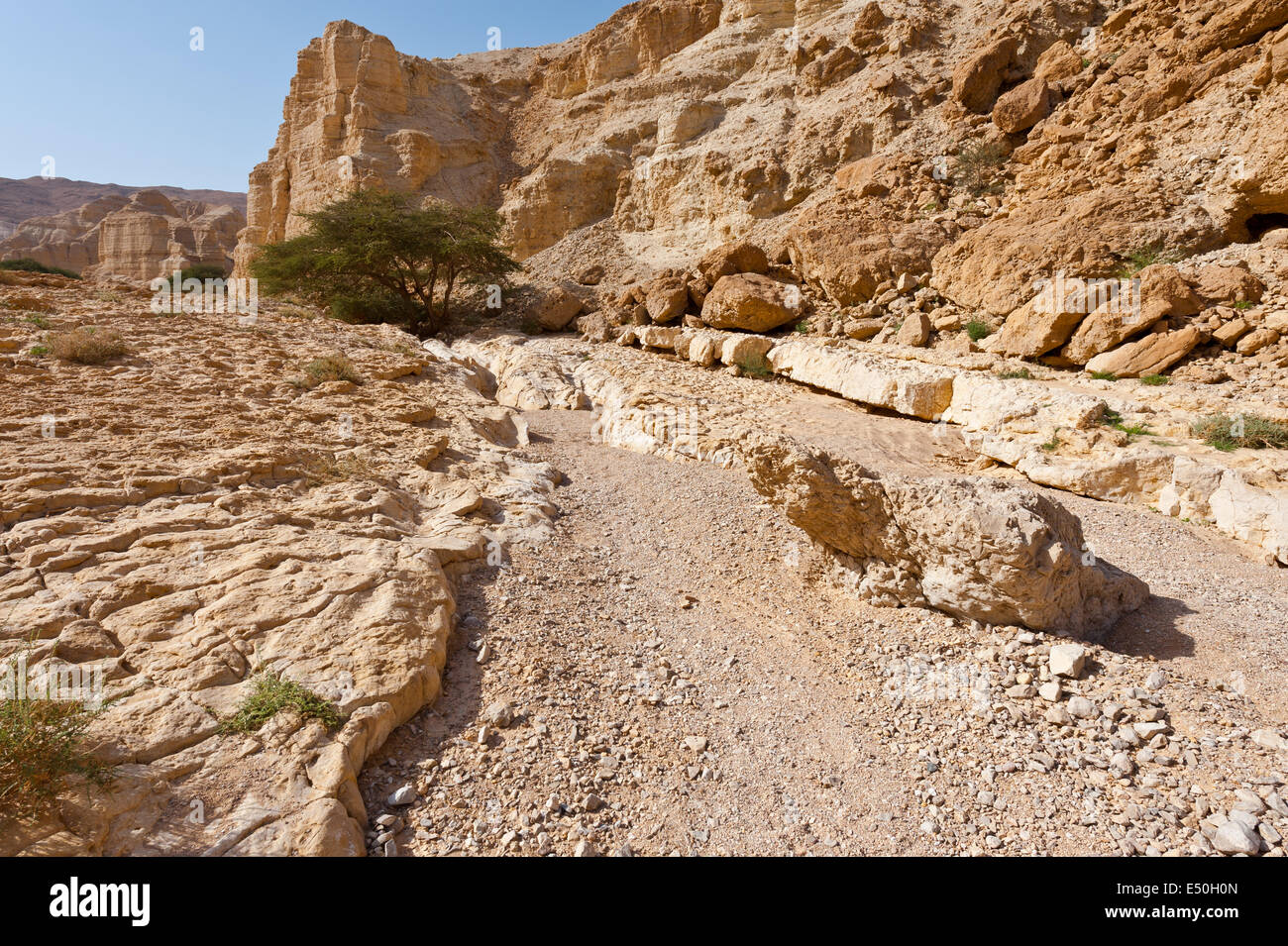 Arid riverbed hi-res stock photography and images - Alamy