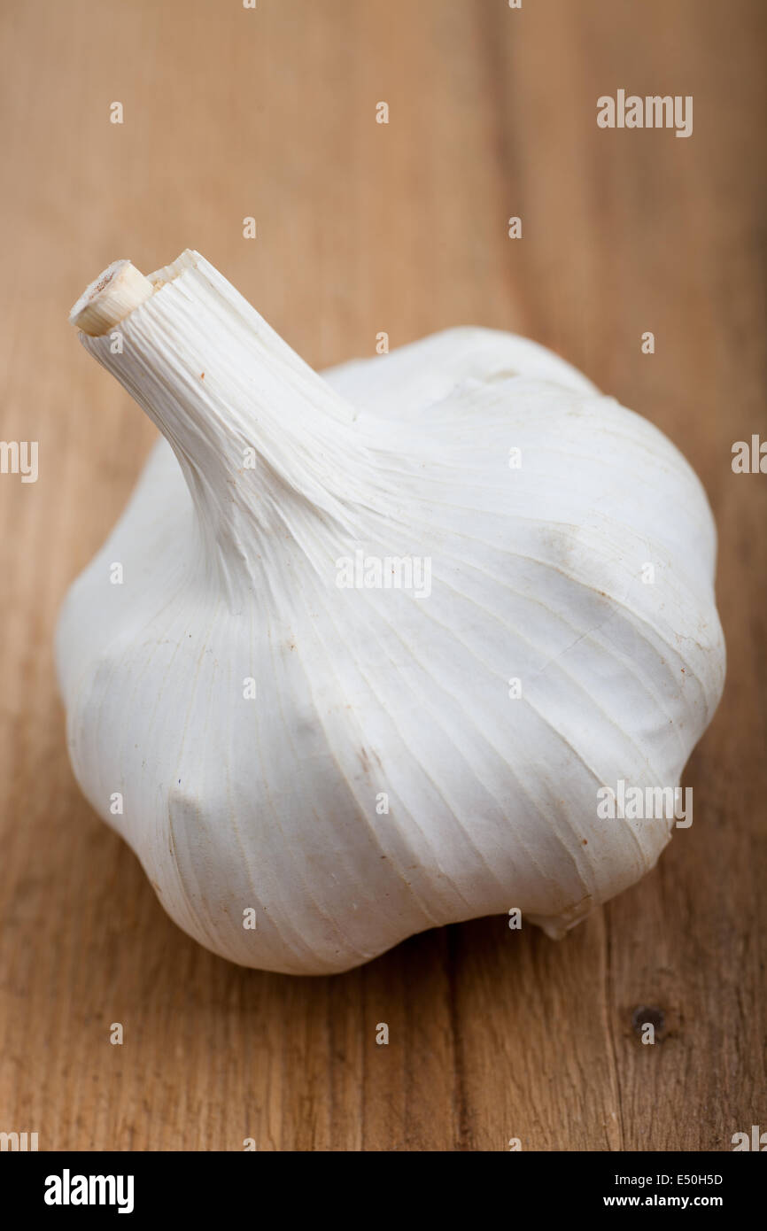 Whole fresh garlic bulb Stock Photo - Alamy