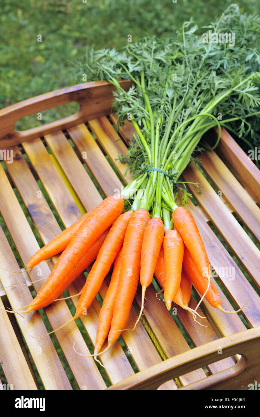 Karotin hi-res stock photography and images - Alamy