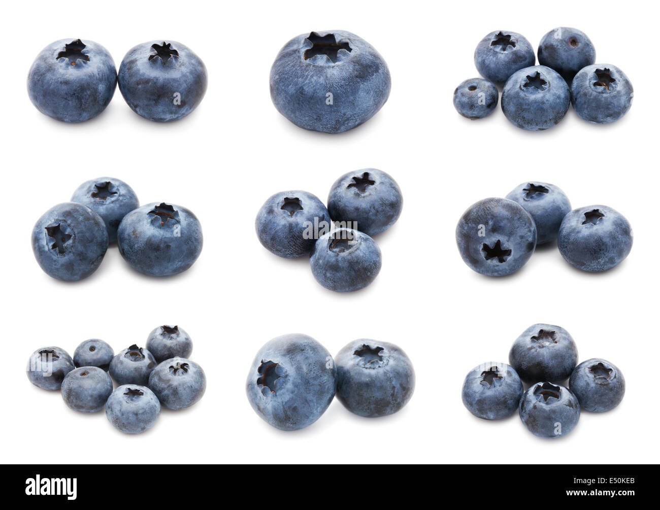 Set plant hi-res stock photography and images - Alamy