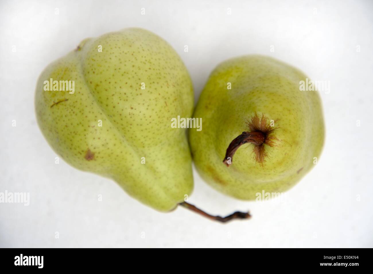 Fresh pears isolated on a kitchen bench Stock Photo - Alamy