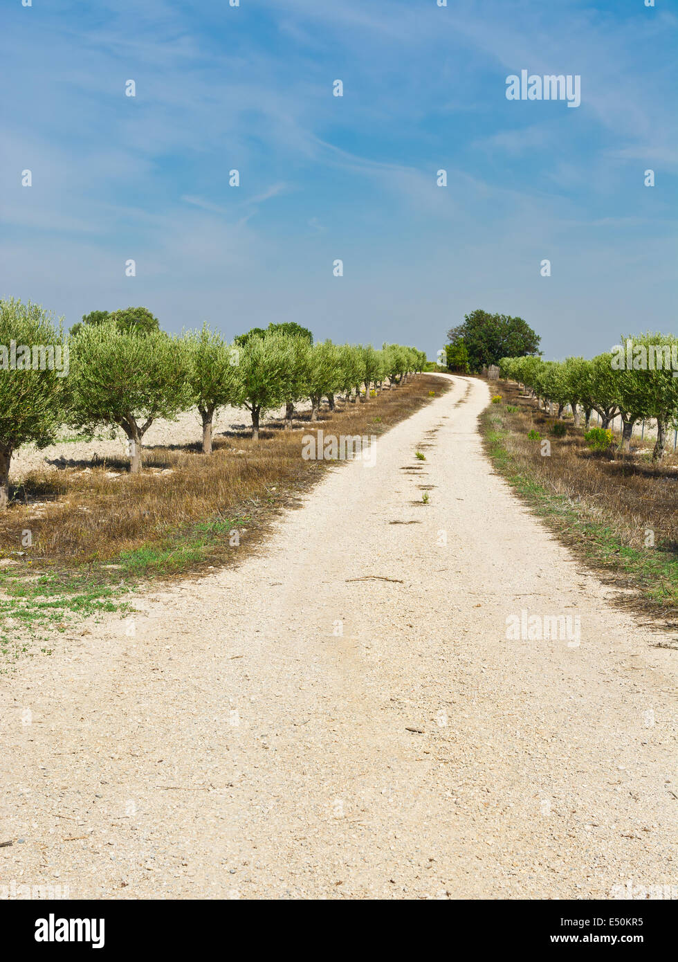 Olive sand hi-res stock photography and images - Alamy