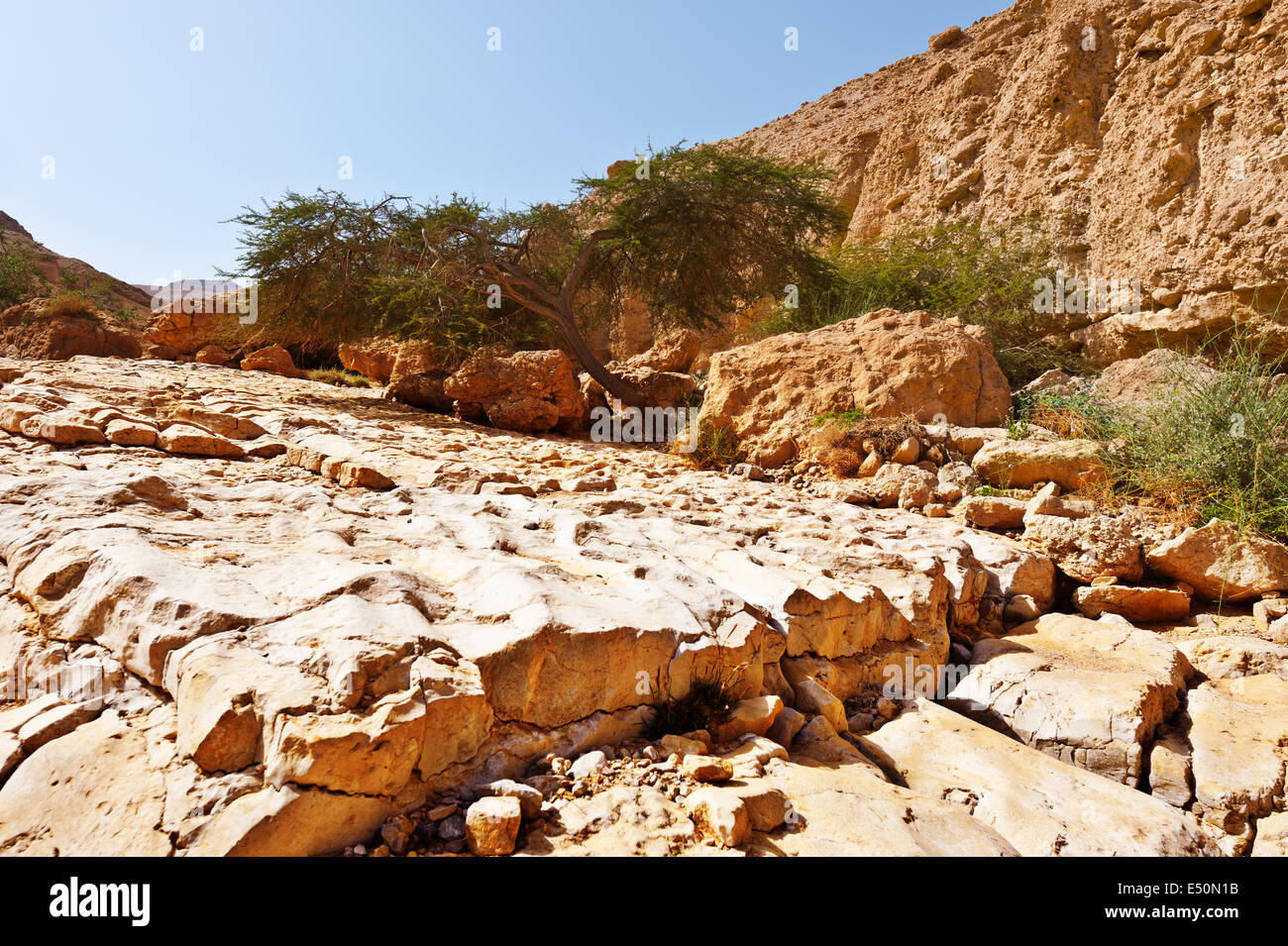 Arid riverbed hi-res stock photography and images - Alamy